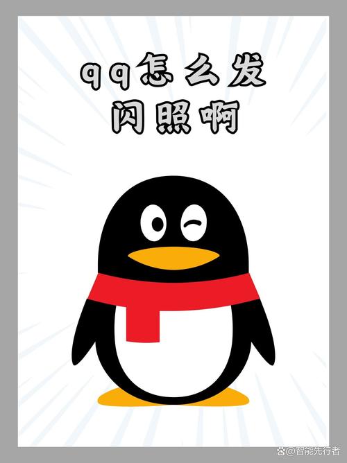 开通QQ会员照片墙不见了