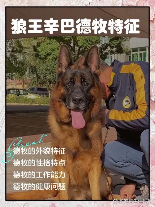 王氏牧业有限责任公司图标
