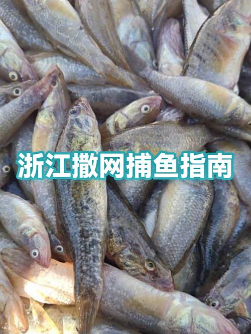开一个渔场需要多少钱图标