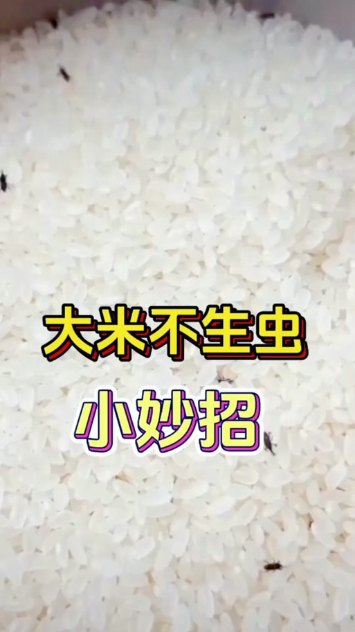 大米怎样存放不生虫
