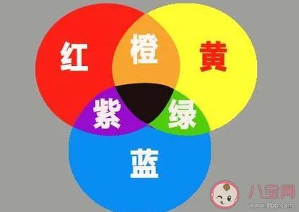 蓝色和紫色识别图图标