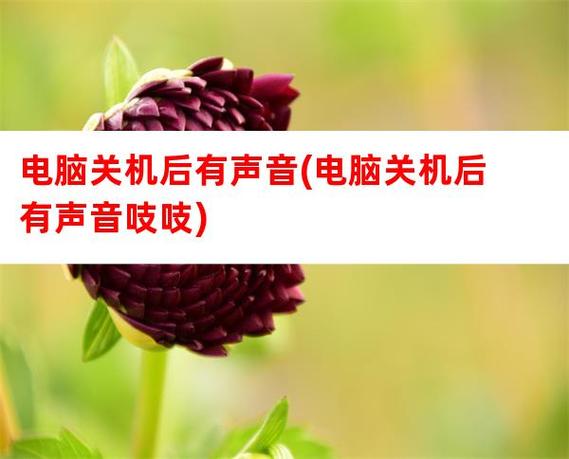 电脑出现声音吱吱响