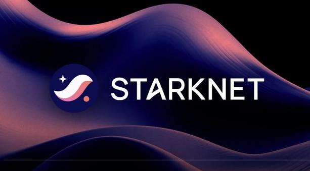 starknet代币截图