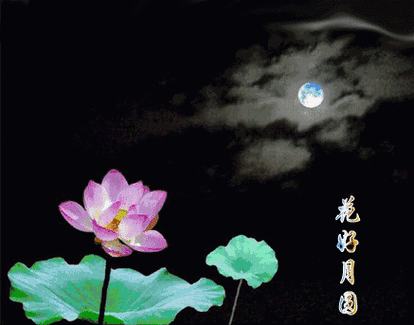 花好月缘天久缘截图