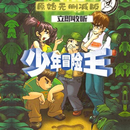少年冒险王的故事