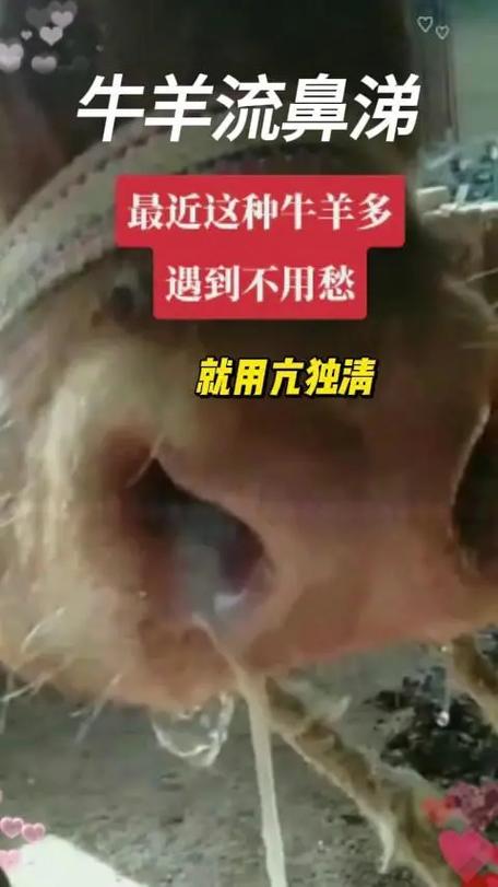 ▖▜▖▗什么意思图标
