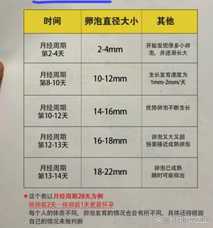大姨妈结束之后多久是排卵期图标