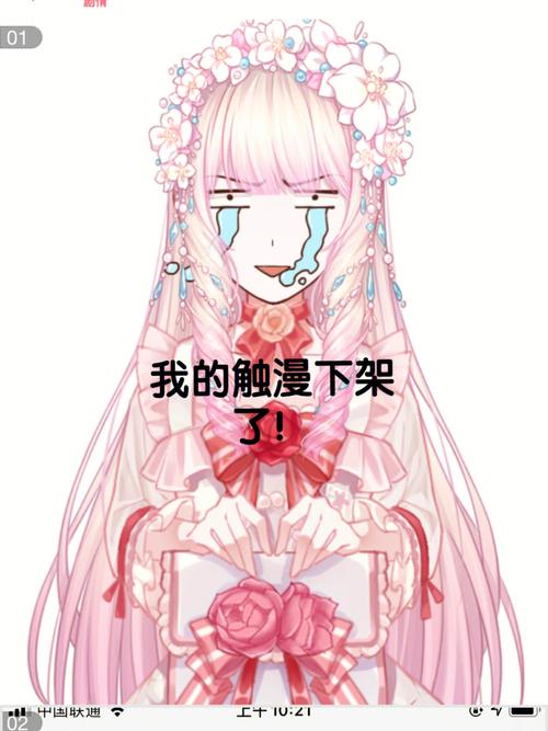 为什么触漫更新不了图标