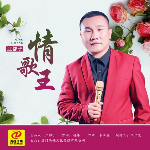 情歌王mp3百度云图标
