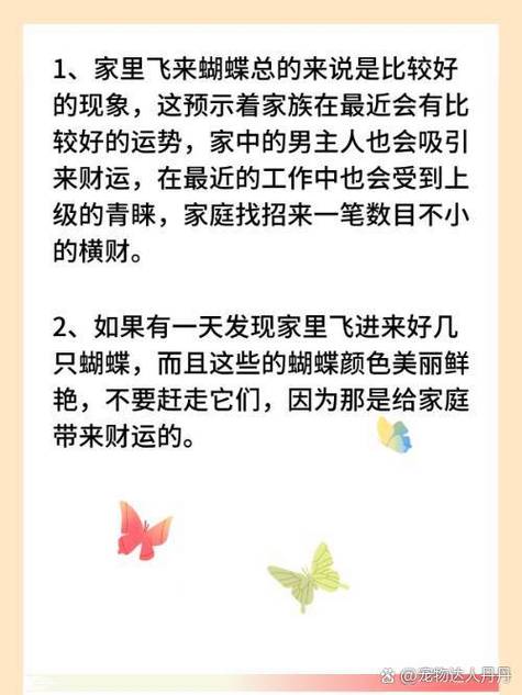蝴蝶飞进家里有什么寓意图标