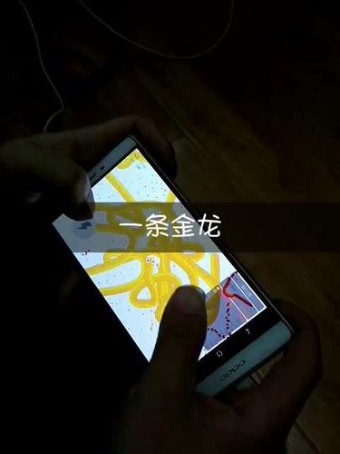 快手转金龙技巧截图