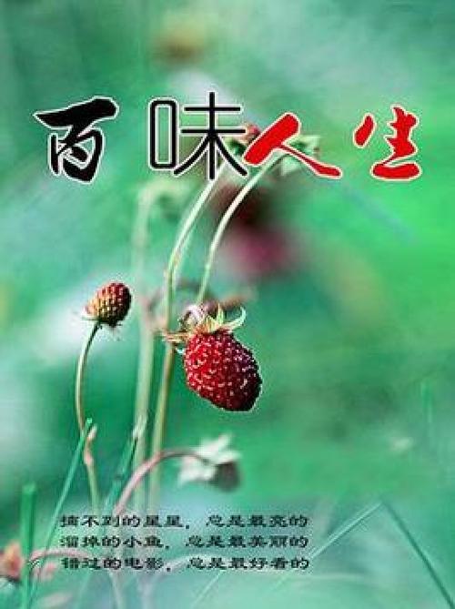 《百味人生》电影图标
