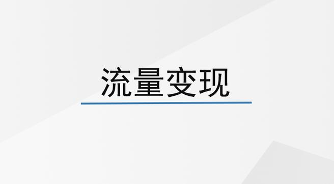 流量可以赚钱吗图标