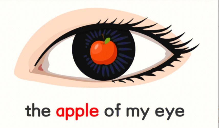 my eye为什么不加s图标