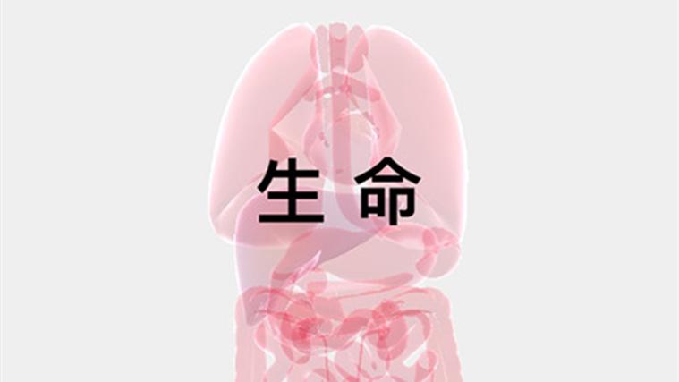 生命模拟器life最新版本图标