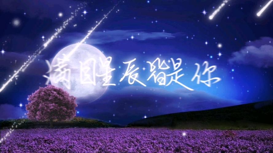满目星辰一切皆是你