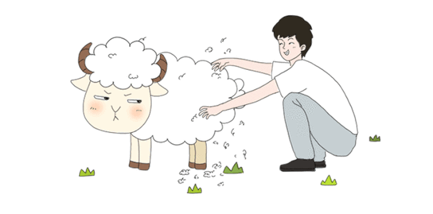 薅羊毛了图标
