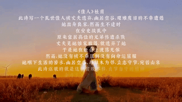佳人的意思是