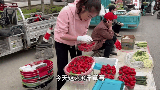 卖草莓能挣多少截图