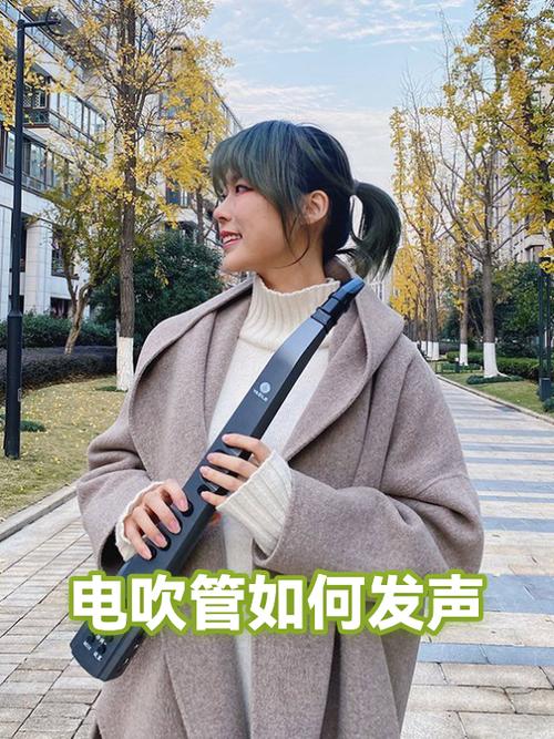 电吹管自带发声吗