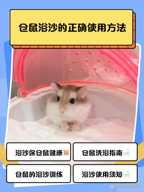 仓鼠洗澡浴沙洗多久图标