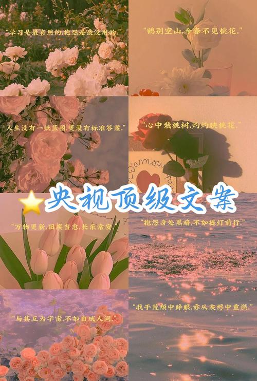 文案顶尖图标