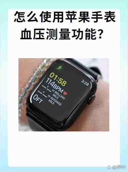 苹果手机测血压在哪里截图