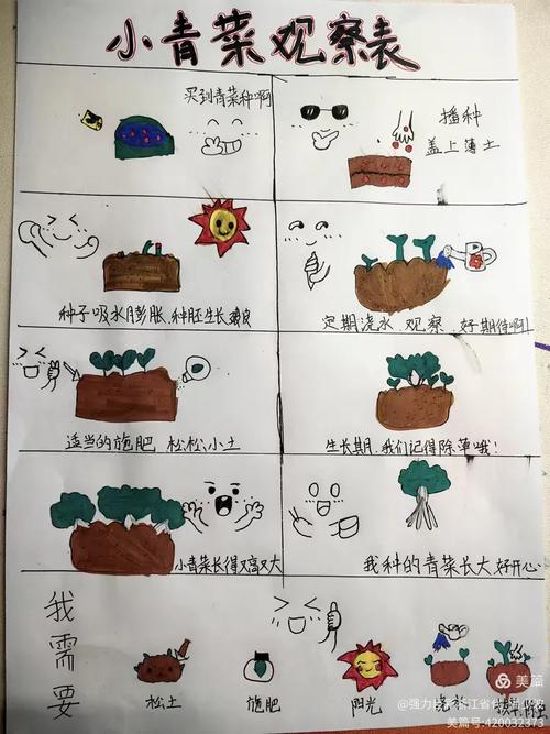 我的种植计划图标