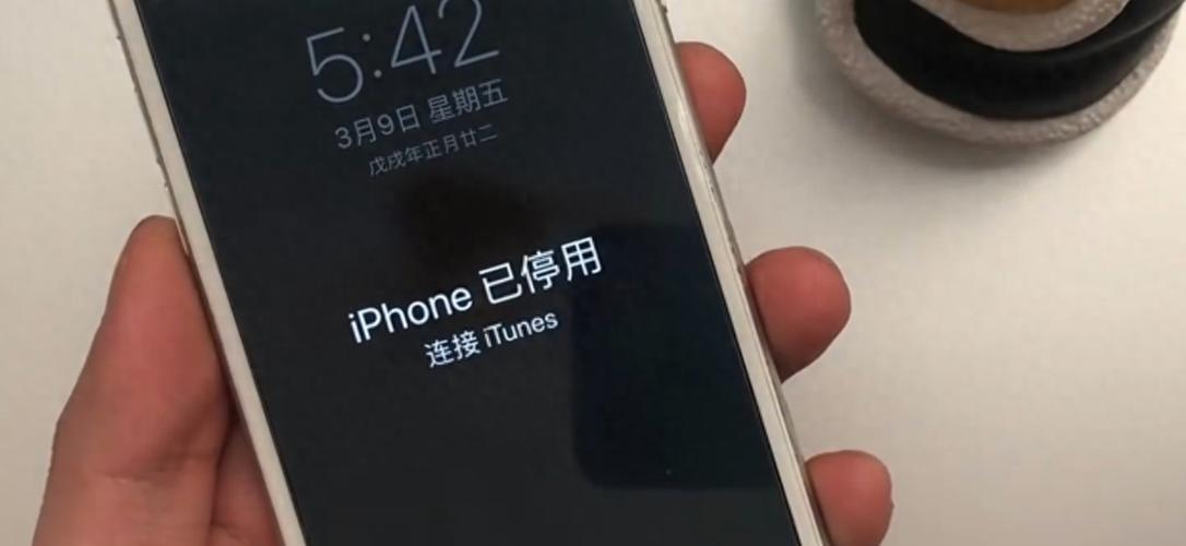 苹果连续输入密码错误10次图标