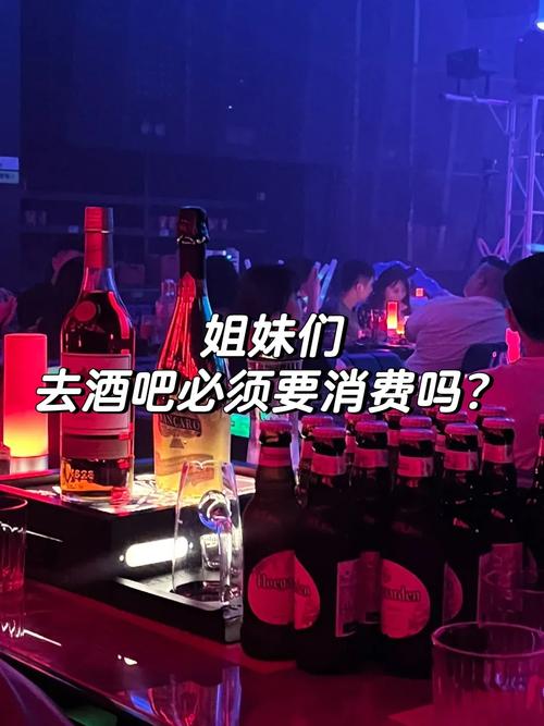 去酒吧要钱吗图标
