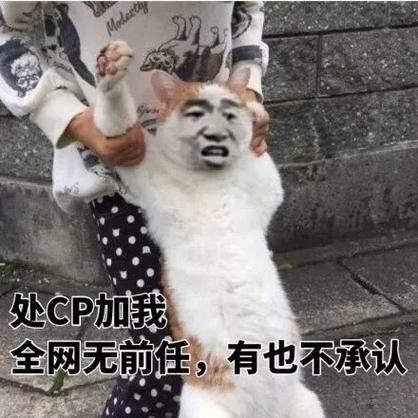 女人说处cp什么意思截图