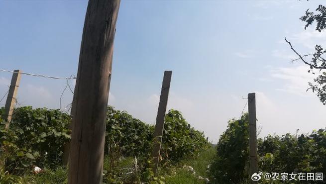 越接近真实图标