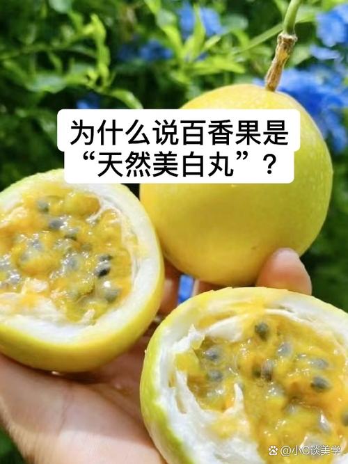 蜂蜜的作用与功效图标