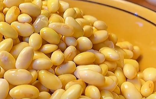 一斤黄豆能做几斤豆腐图标