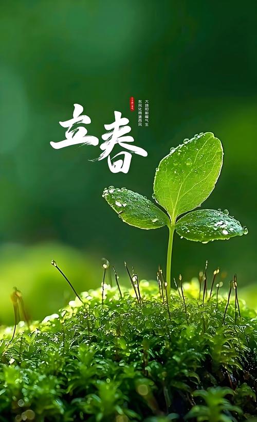 芷灵儿《春立》截图