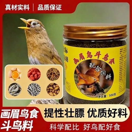画眉鸟斗鸟食图标