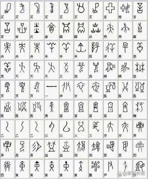 不字甲骨文图标