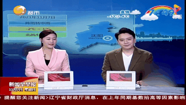 辽宁都市直播app截图