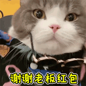 萌宠红包图标