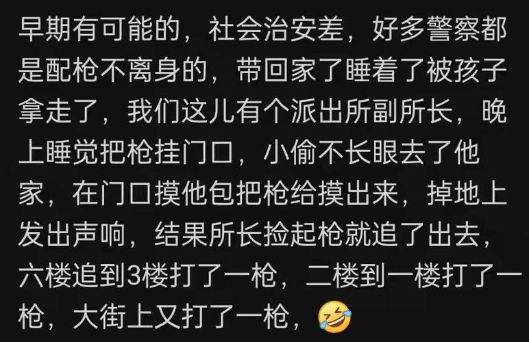 警察丢失配枪会怎样图标