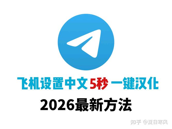 纸飞机2026中文设置图标