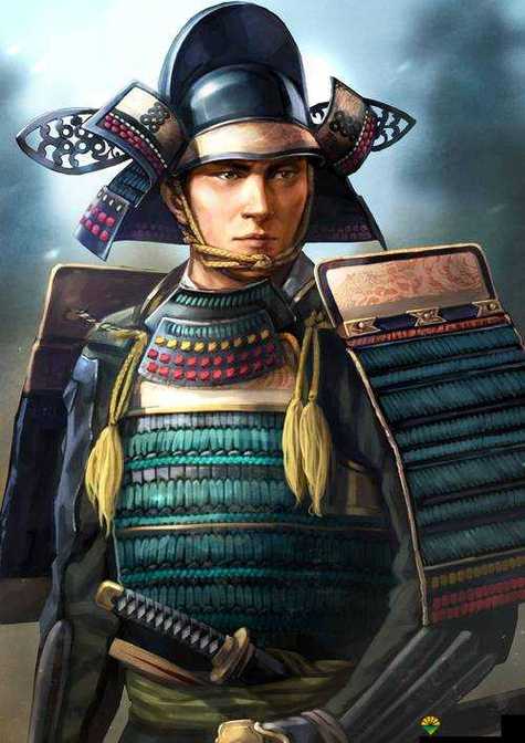 信长之野望14武将培养图标