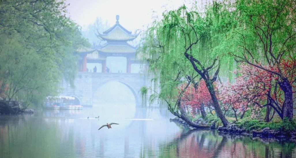 春景照片大全图标