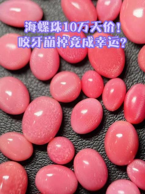 海螺珠一般多少钱一颗截图