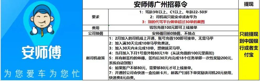 安师傅代驾司机报名官网图标