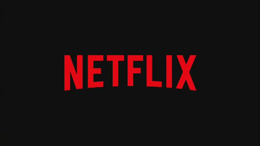 网飞netflix图标