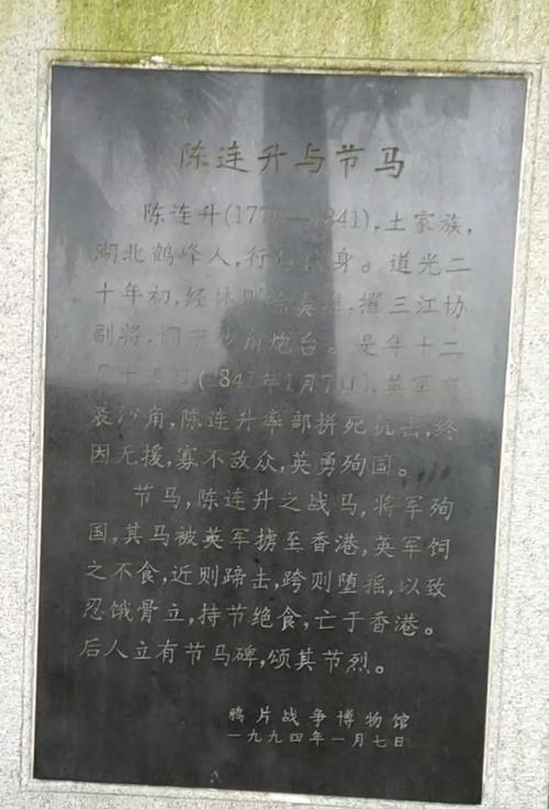 走马观碑比喻什么图标