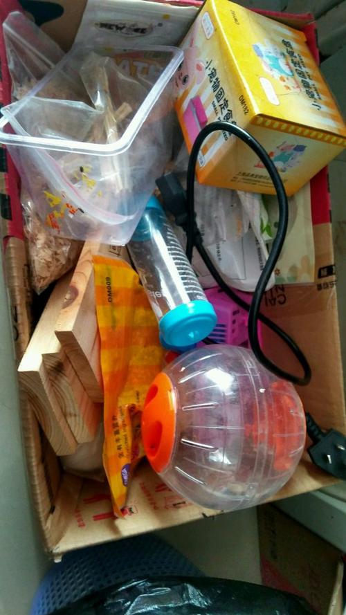 养仓鼠必备物品