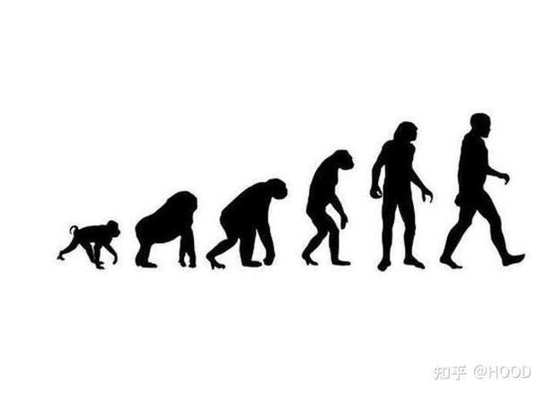 基督教 进化论