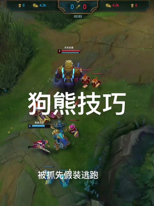 狗熊连招